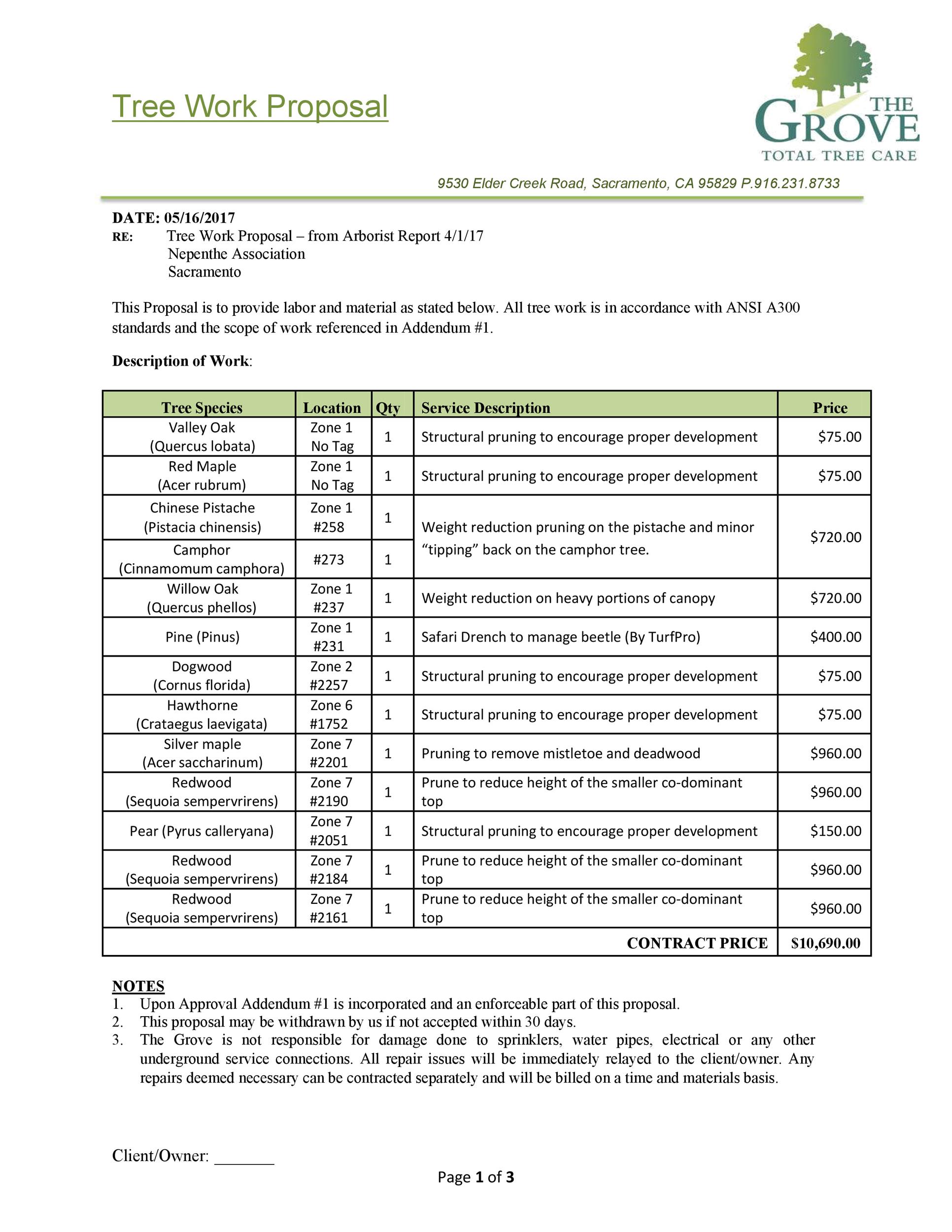 Sample Work Proposal - Talentlyst